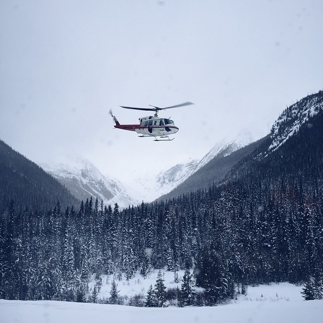 Nike Project North | Pavement Bound